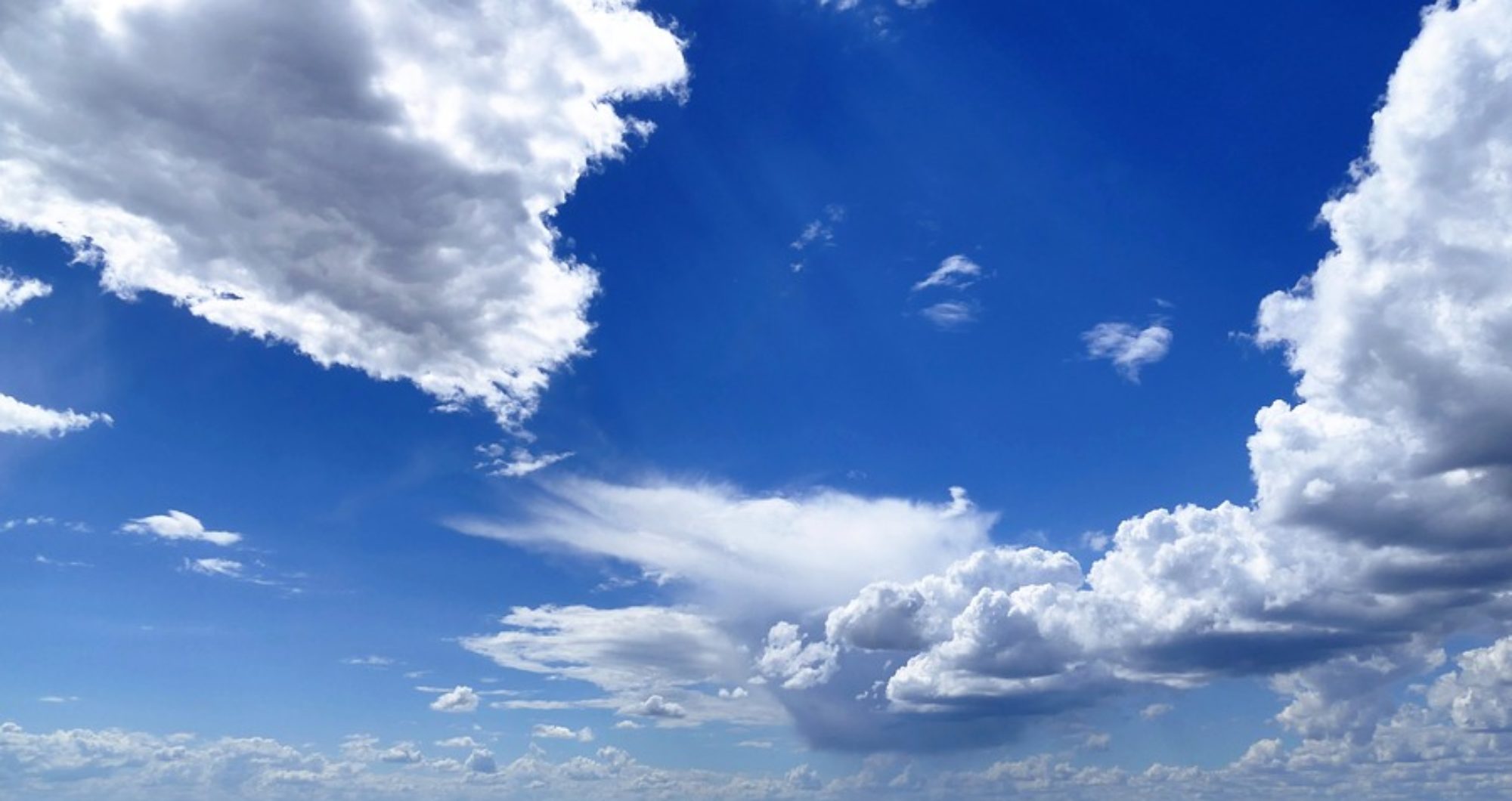 cropped-nature-2103657_960_720-2.jpg｜みのむしぼっち